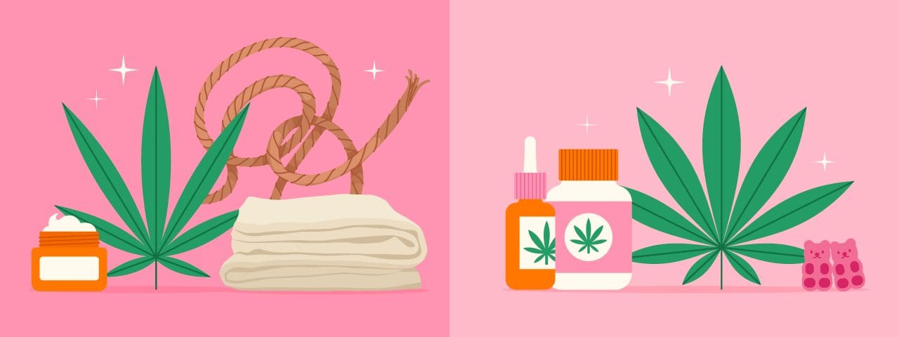 Hemp vs. marijuana: What’s the difference?