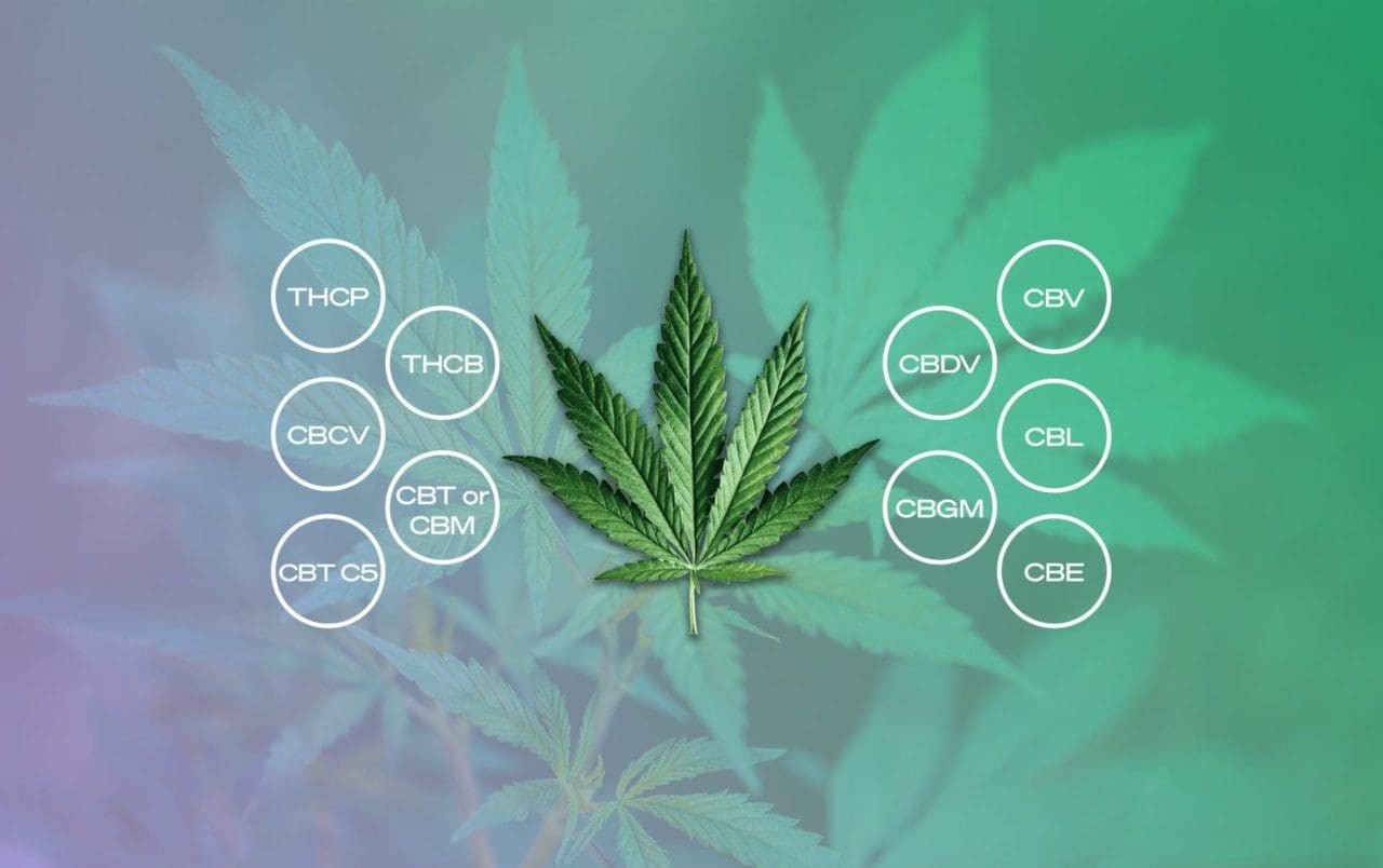 What Are the Minor Cannabinoids?
