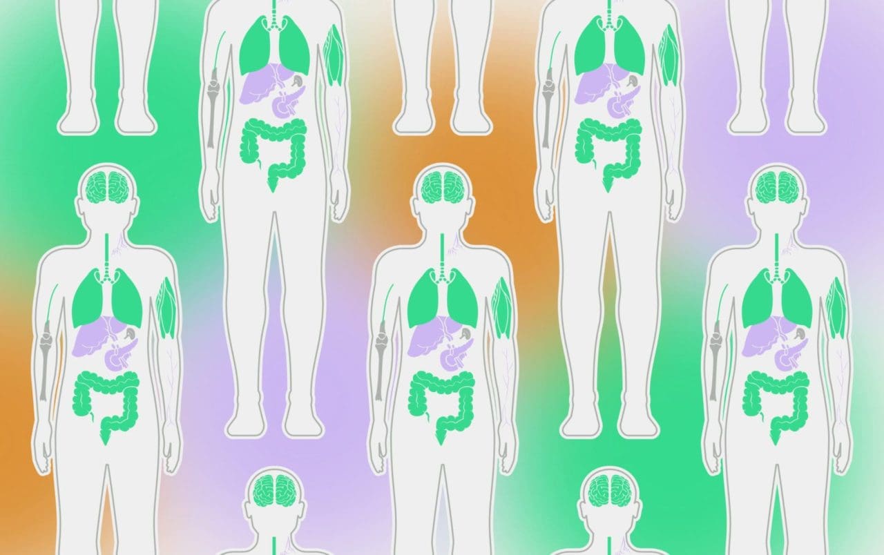 Endocannabinoid system: What it is, how it works, and more