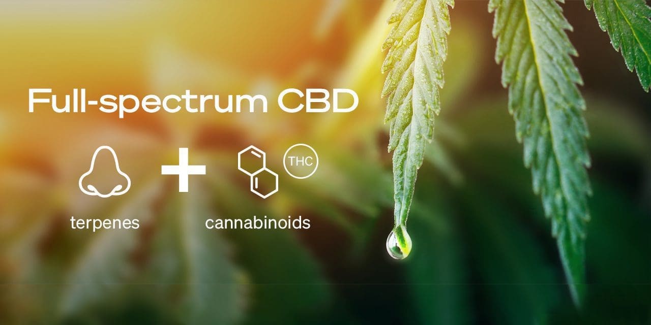 What Is Full-Spectrum CBD? Overview, Benefits, Uses