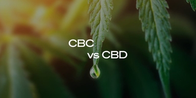 CBC vs. CBD: Similarities and Differences
