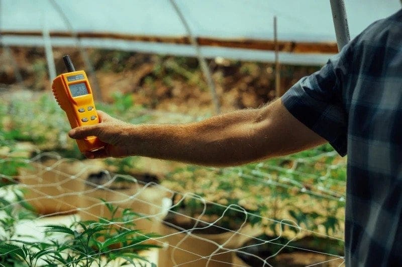 What’s the Ideal Humidity for Growing Cannabis?