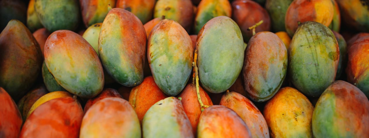 What is myrcene? Benefits & uses of this cannabis terpene
