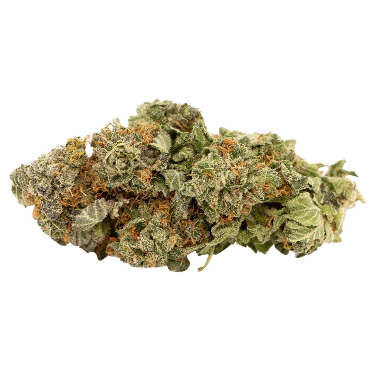 Bruce Banner Marijuana Strain