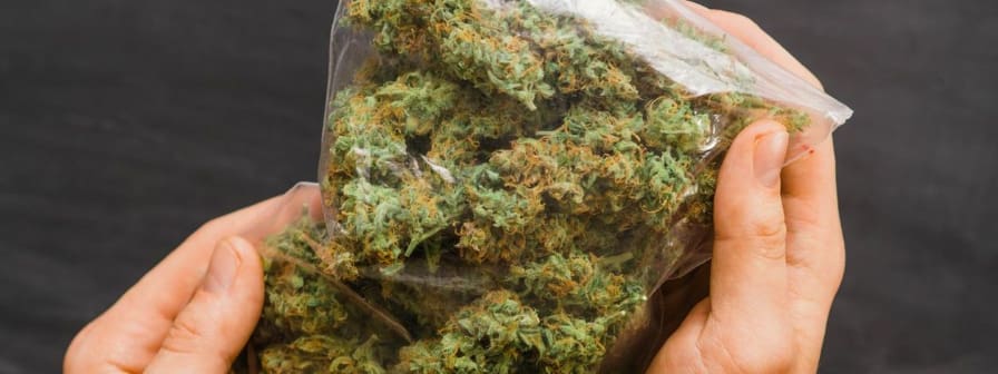 What is a zip of weed, and how much does it cost?