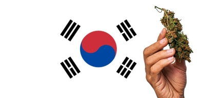 Is Marijuana Legal in South Korea? - Leafwell