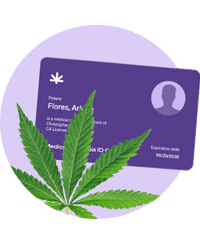 Does Marijuana Show Up in Regular Bloodwork?