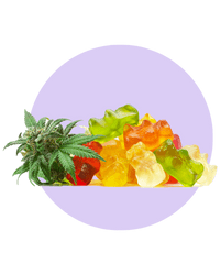 What is pulegone: Benefits, uses, risks, and more