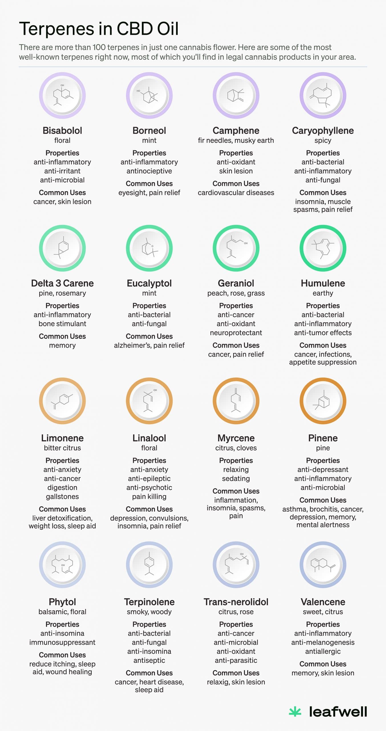 Cannabis Terpenes: What They Do & Why They’re Important