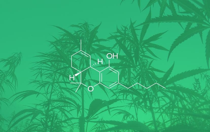 What Is THC? Benefits, Uses, Risks, and Side Effects
