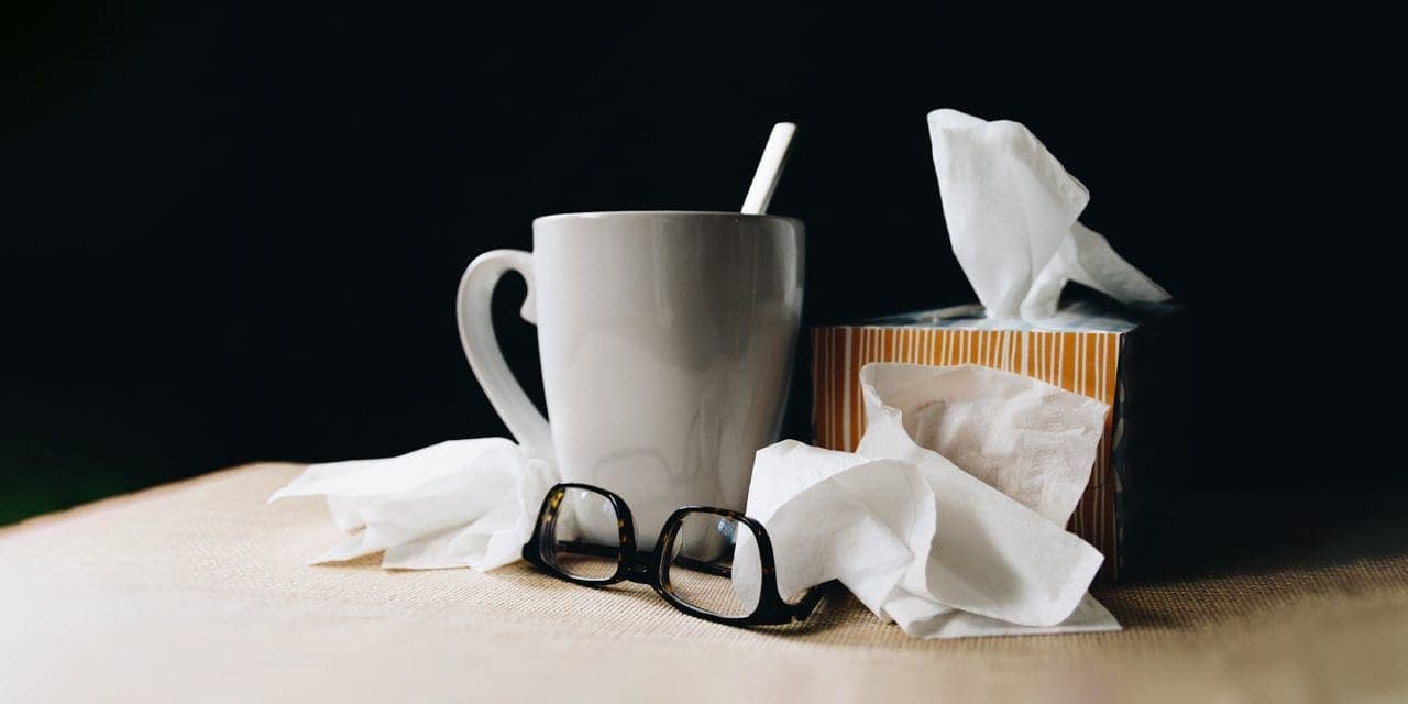 What Is Borneol? Benefits, Uses, and Where to Find