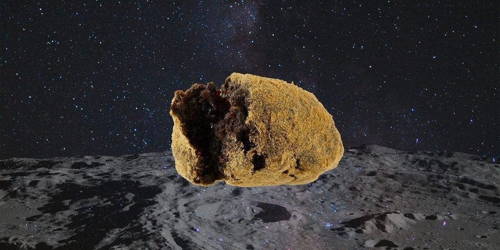 What Are Marijuana Moon Rocks?