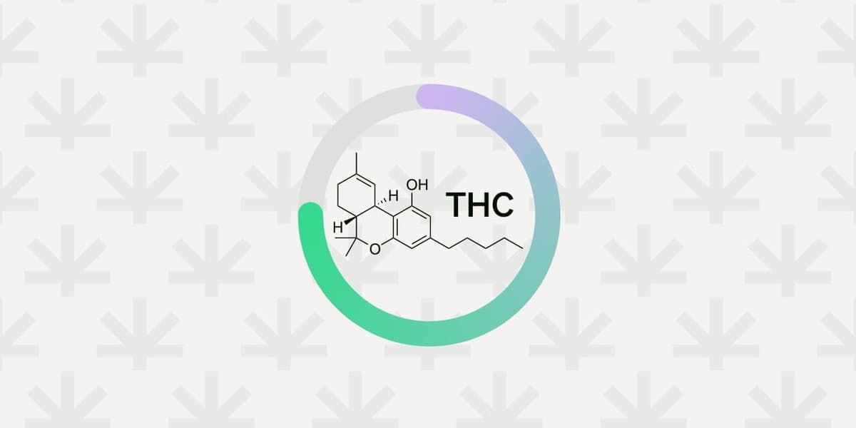 What Is Considered ‘High THC’?