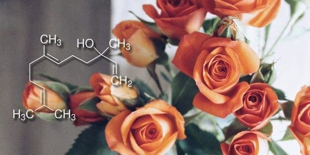 What Is Geranyl Acetate? Benefits, Uses, and Risks