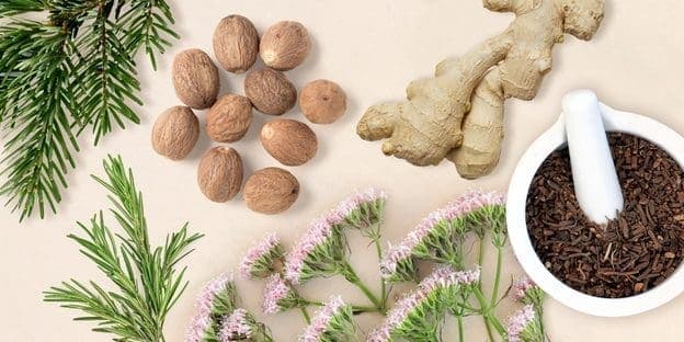 What Is Isoborneol? Benefits, Uses, and Risks