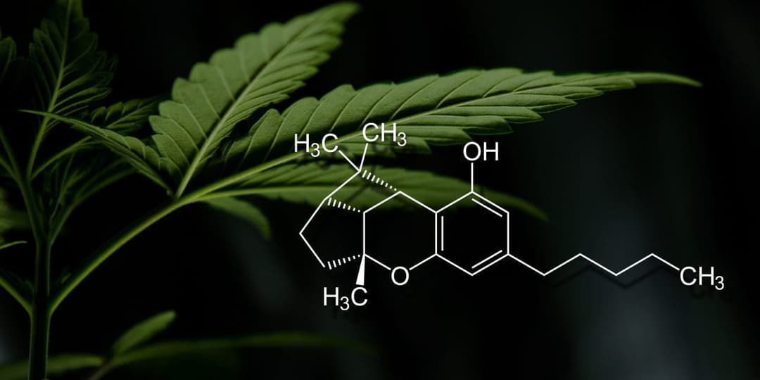 What Is Cannabicyclol? Overview, Benefits, Uses