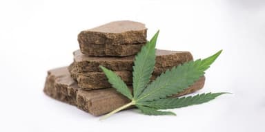 ¿Qué es el hachís? Riegos y beneficios - Leafwell