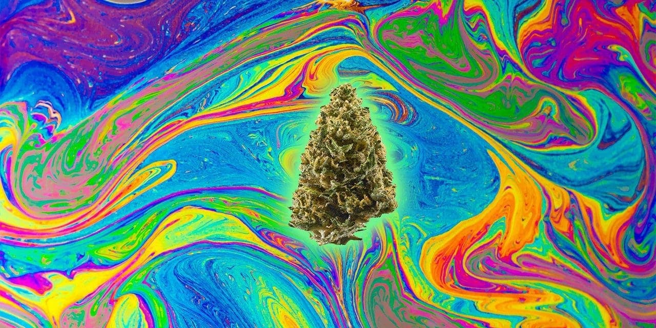 LSD and Weed: What Happens When You Mix Them?