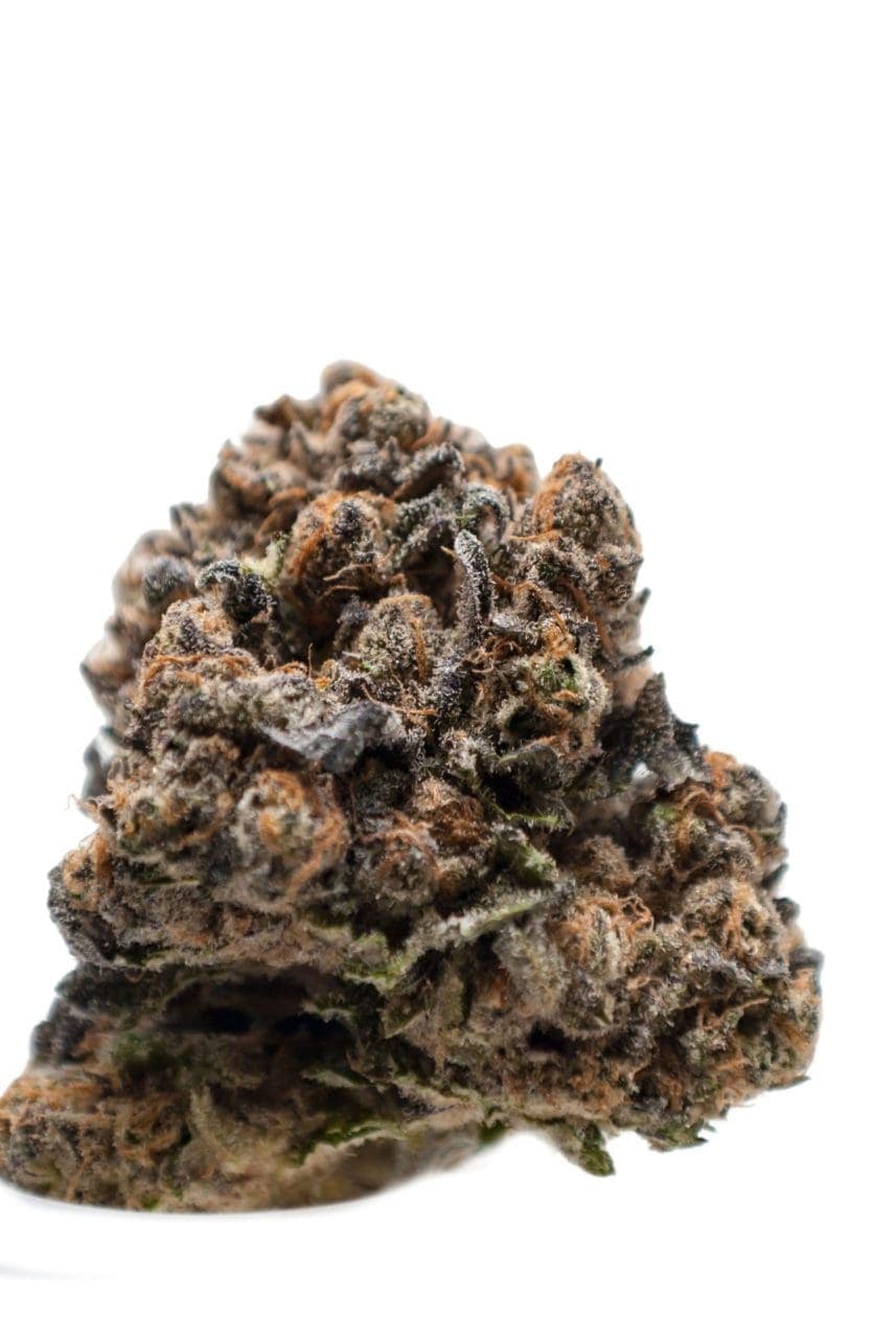 Blackberry Pie Marijuana Strain