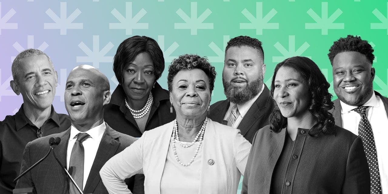 A Guide to Medical Marijuana Legalization Around the World