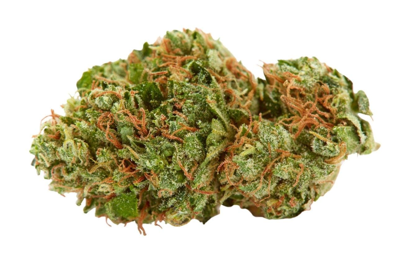 AK-47 Marijuana Strain
