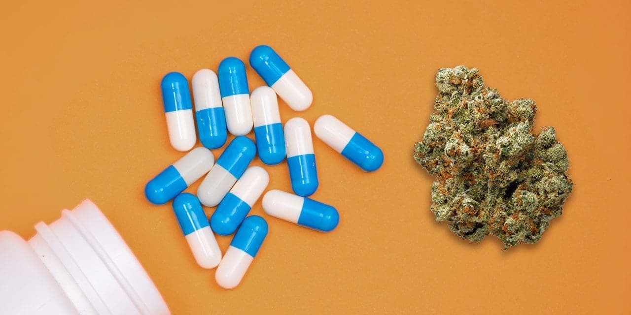 Ozempic and Weed: Can You Mix the Two?