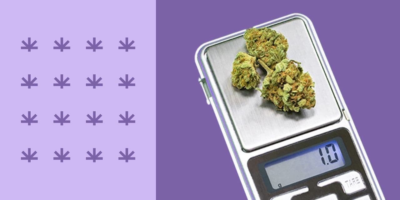 What Is a Zip of Weed, And How Much Does It Cost?