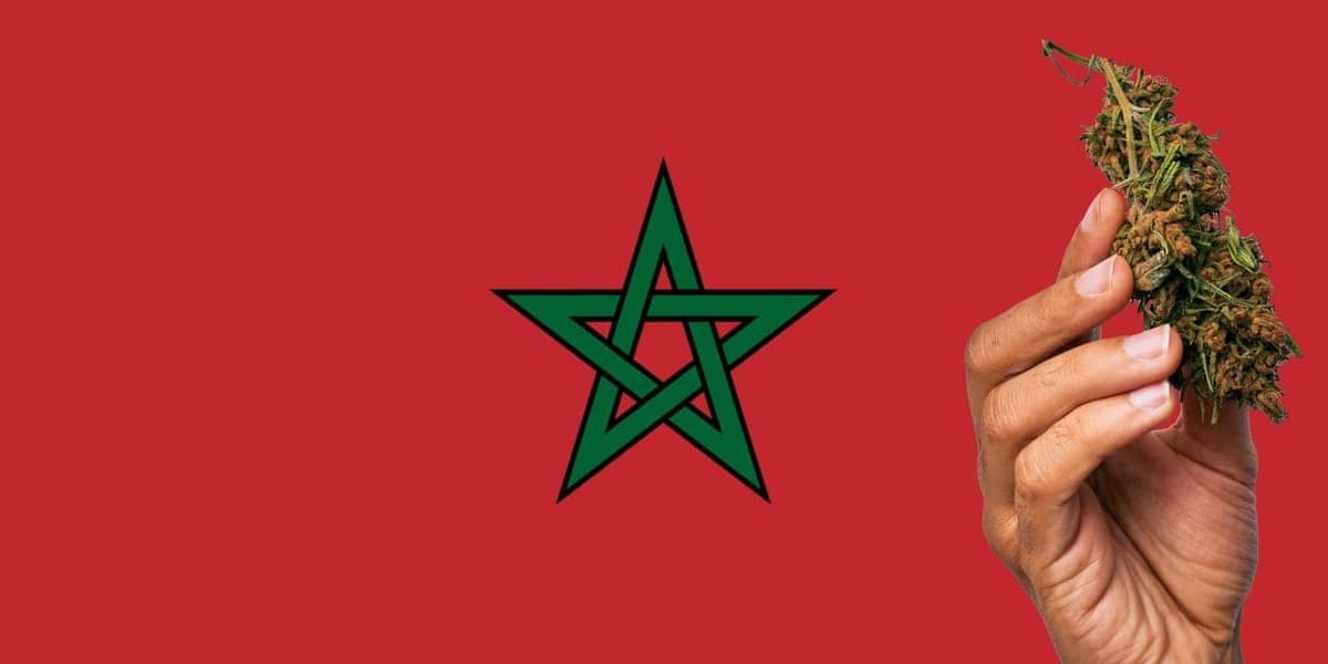 Is Marijuana Legal in Morocco? - Leafwell